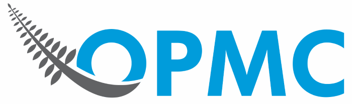 How Best to Respond to an Ecommerce Fraud Incident? - OPMC